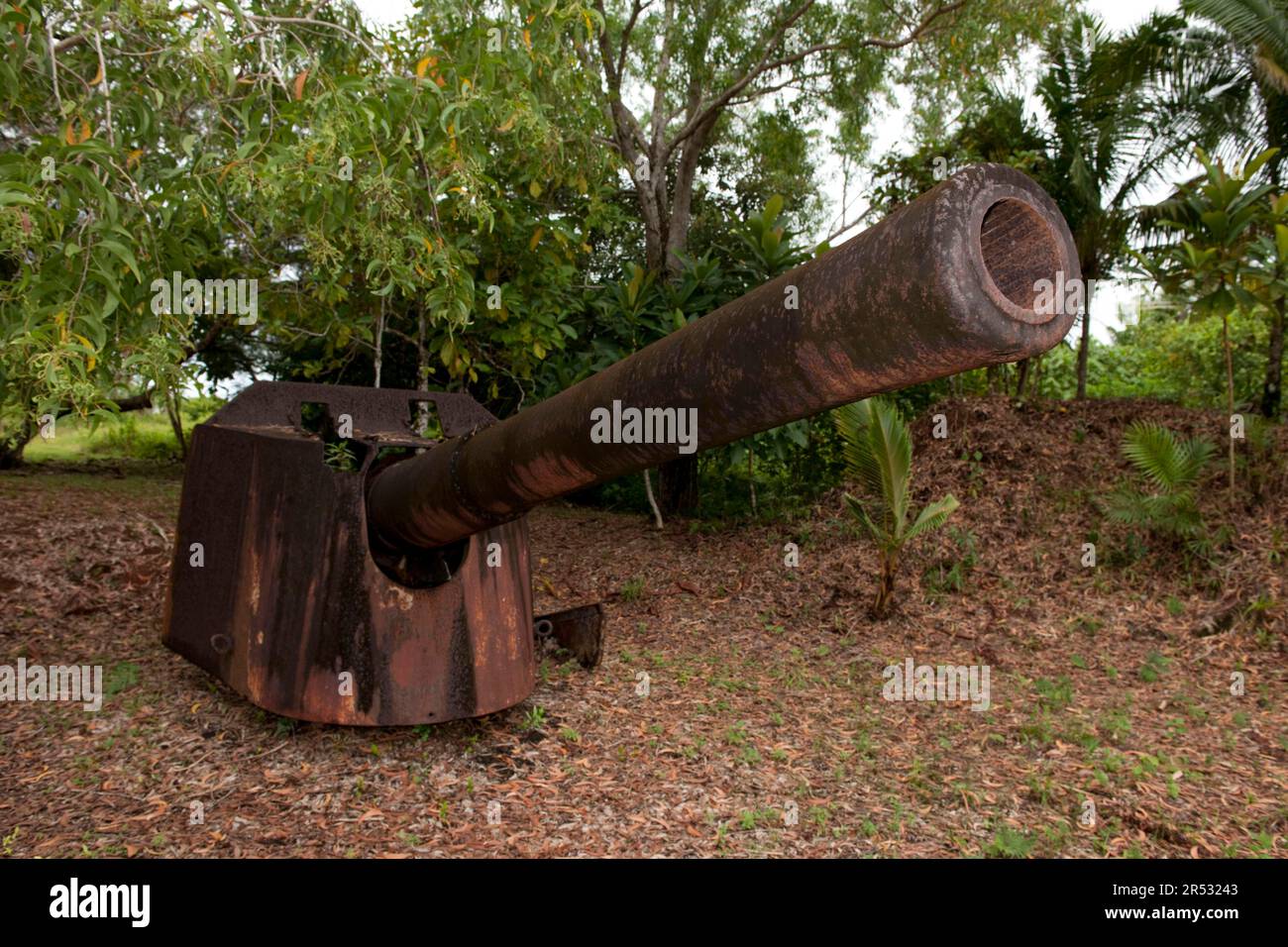 Japanese gun, World War II, Palau, Bismarck Archipelago, Micronesia ...