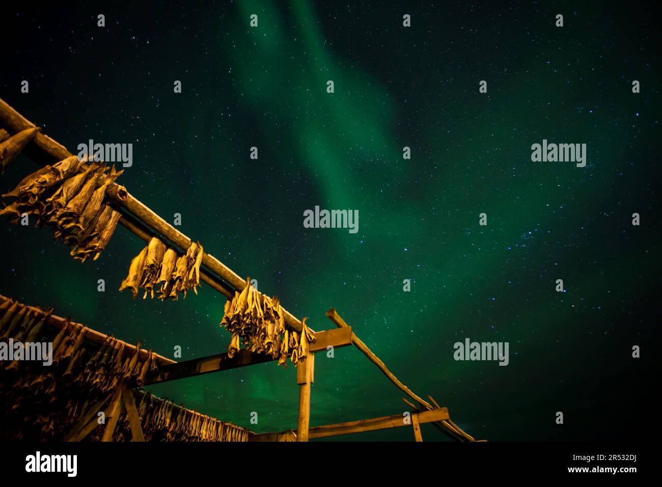 Northern Lights, Northern Lights, dried fish, Laukvik, Lofoten ...