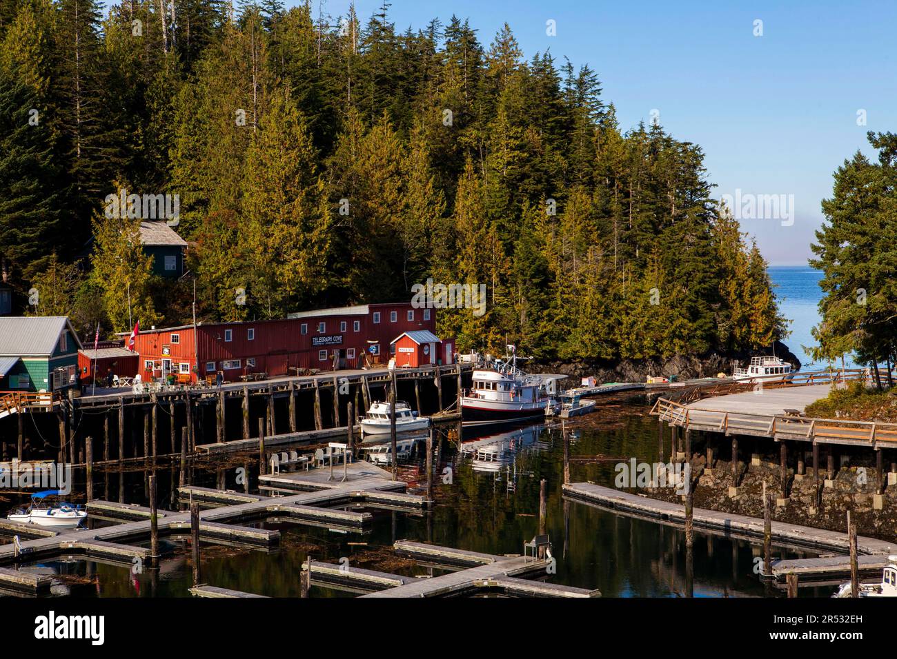 Harbour, Telegraph Cove, British Columbia, Canada Stock Photo - Alamy