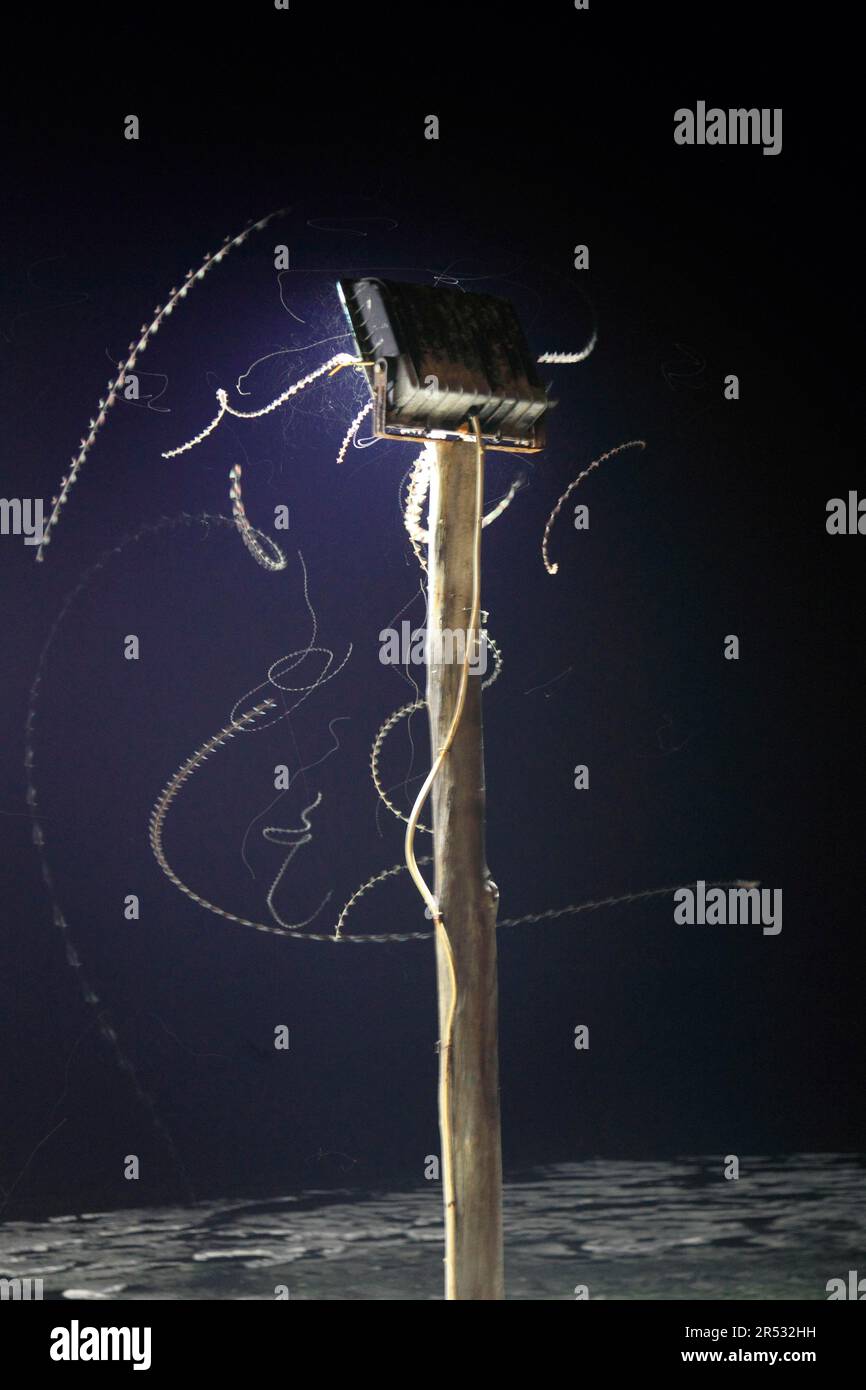 Insects at night, in lamplight Stock Photo - Alamy