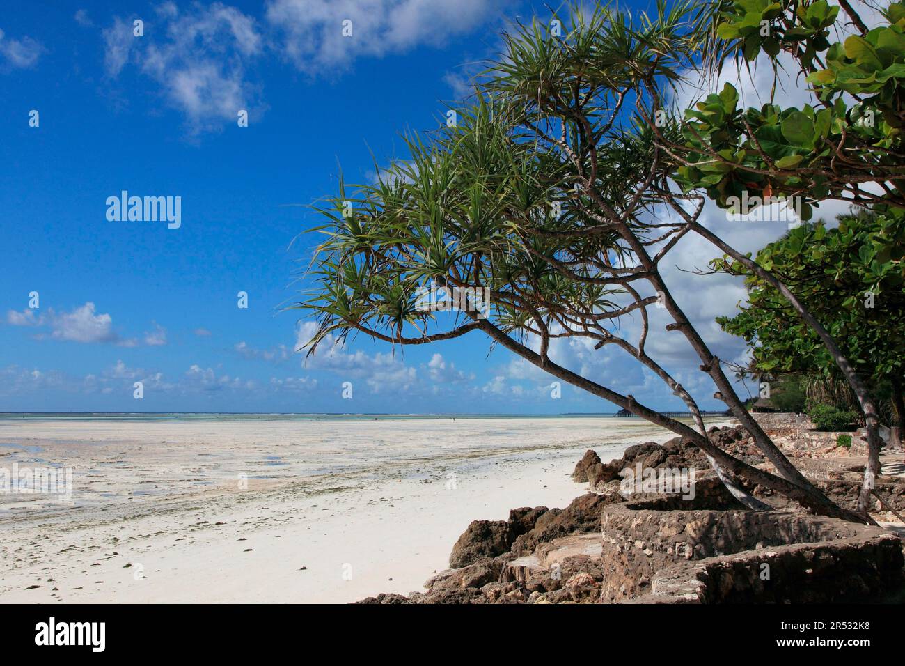 Beach at low tide, Indian Ocean, Zanzibar, Tanzania Stock Photo - Alamy