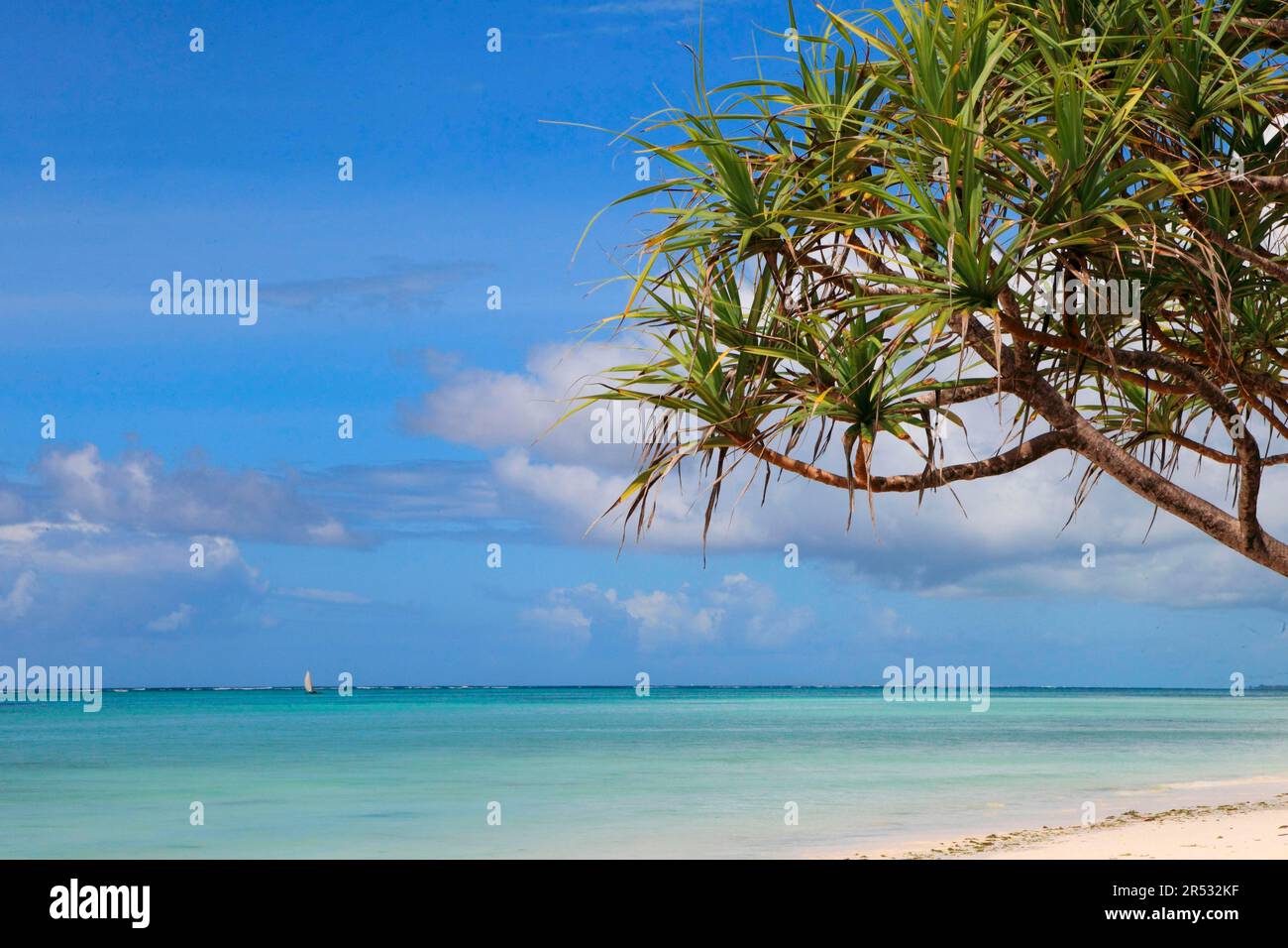Tanzania zanzibar indian ocean hi-res stock photography and images - Alamy