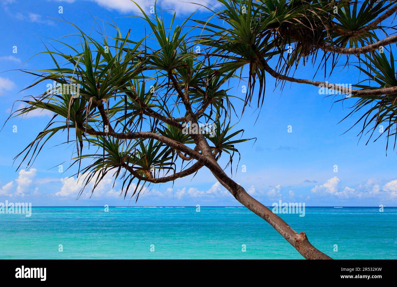 Tanzania zanzibar indian ocean hi-res stock photography and images - Alamy