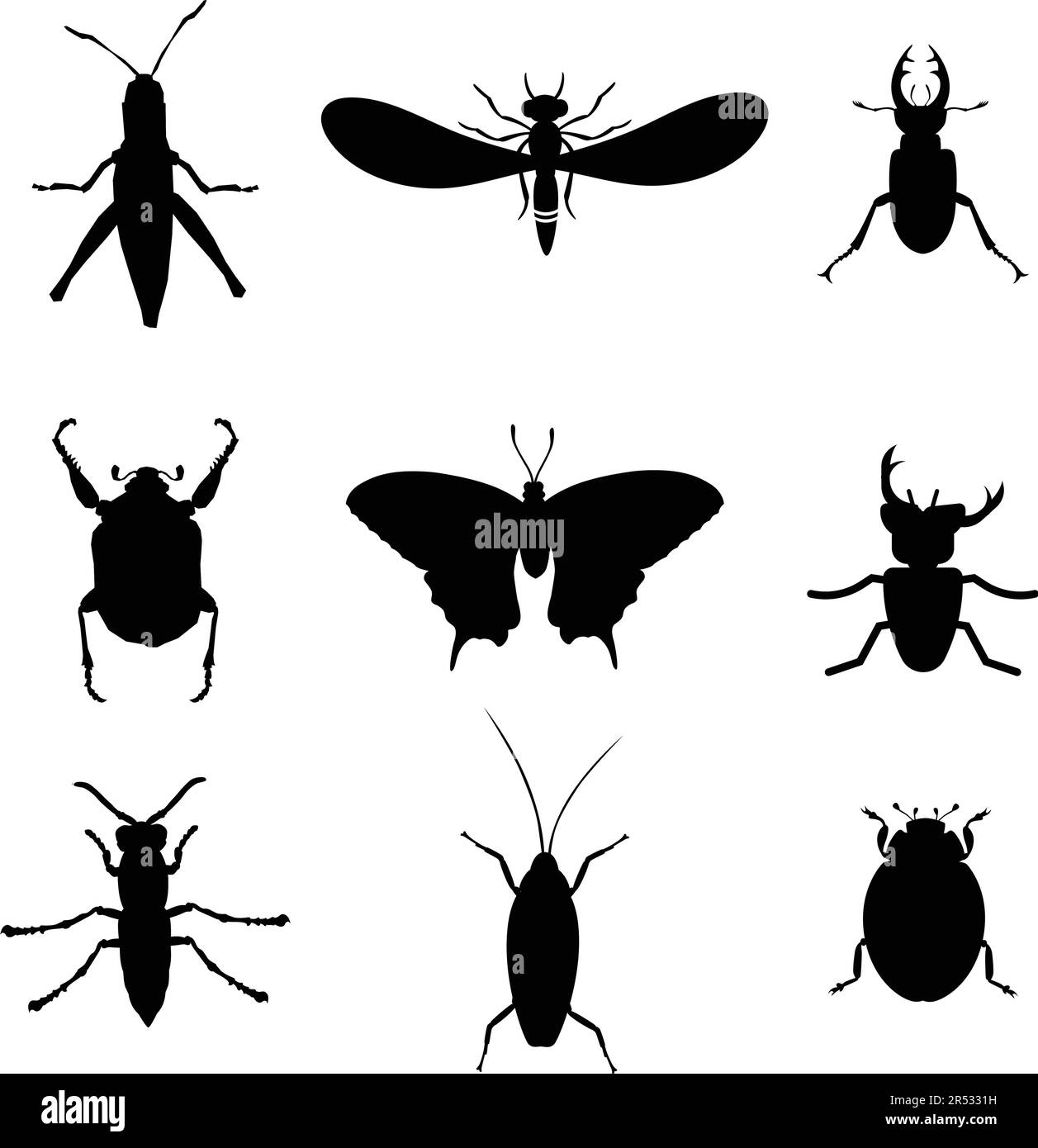 Silhouette insects hi-res stock photography and images - Alamy