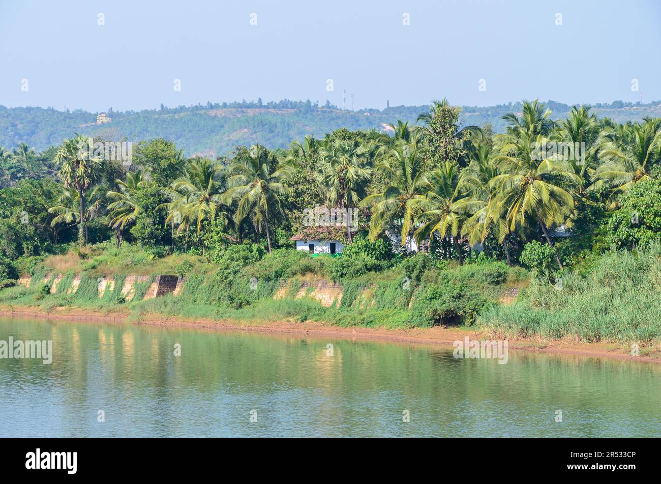Phalguni River with lush green river bank at Polali, Mangalore, India ...