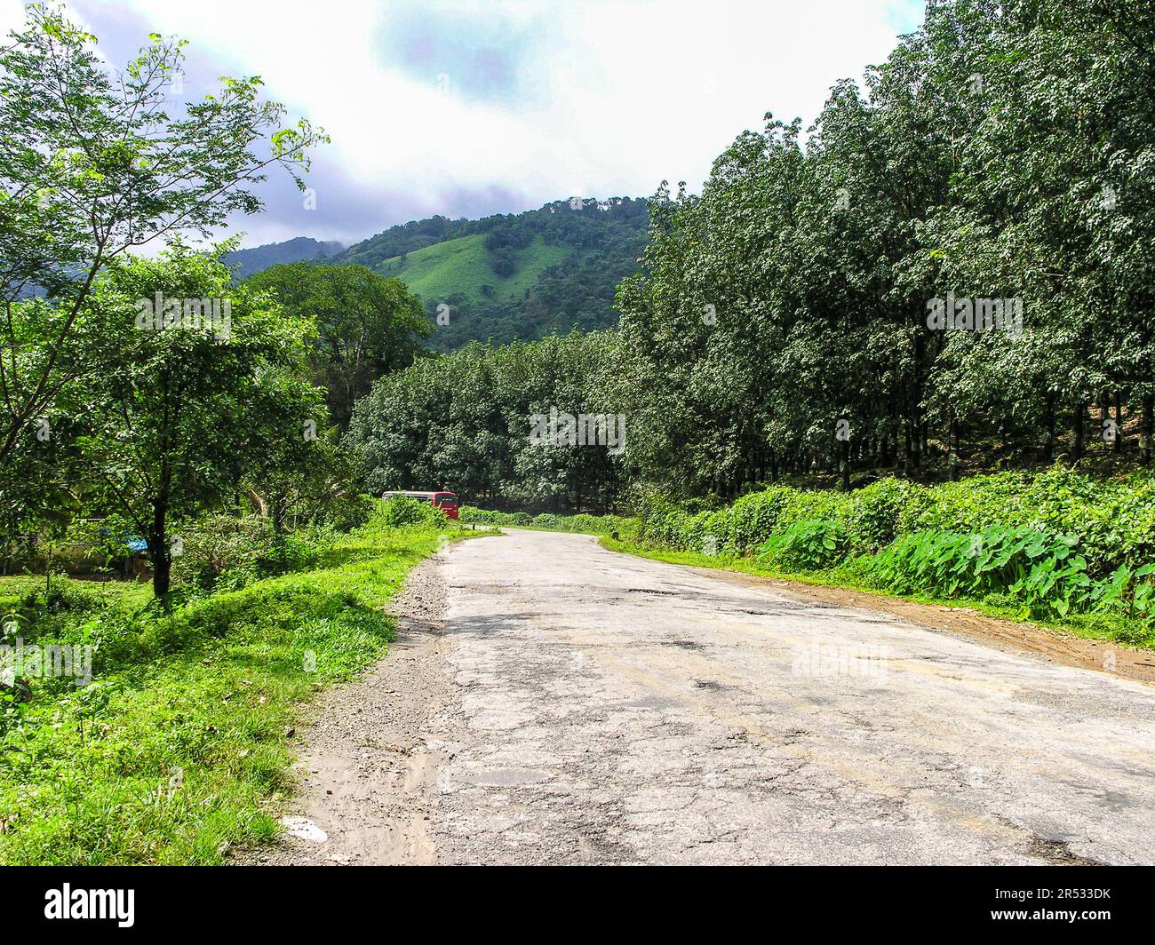 Road winding through a hilly forest at Madikeri, India Stock Photo - Alamy
