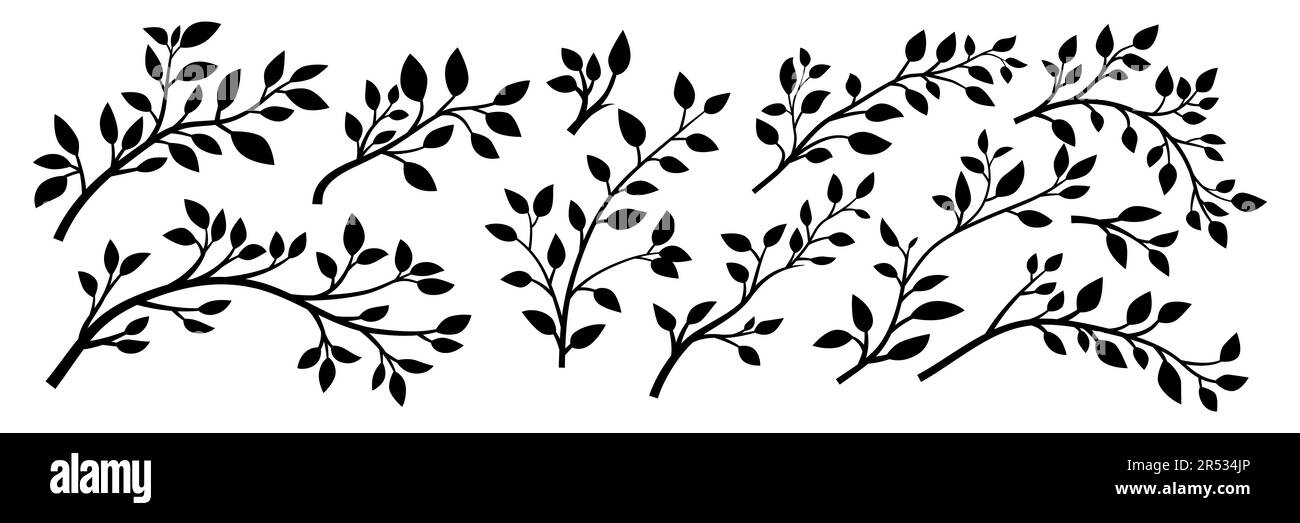 Tree Brunch Silhouettes Icon Set Isolated. Black and White Twig with ...