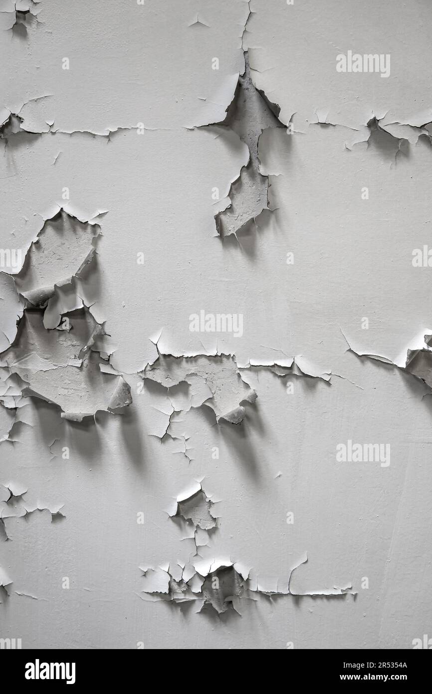 White cracked paint on the wall. Old painted wall. Grungy cracked white ...
