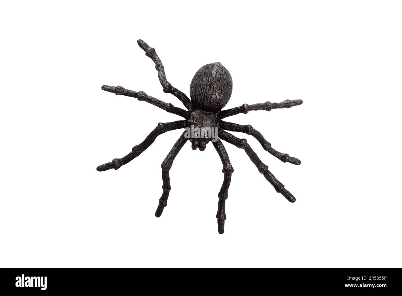 Black rubber spider toy isolated on a white background. Black spider ...