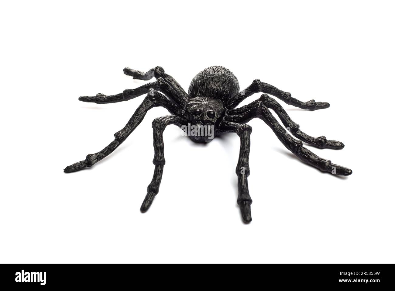 Black rubber spider toy isolated on a white background. Black spider ...