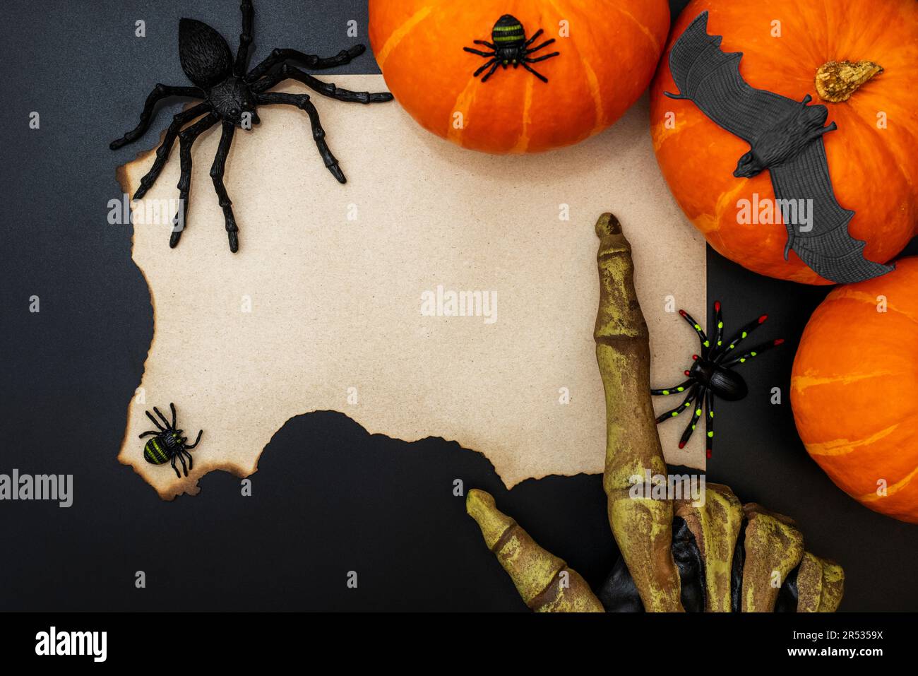 Sheet of paper with spiders, bats, pumpkin and monsters hand on black ...