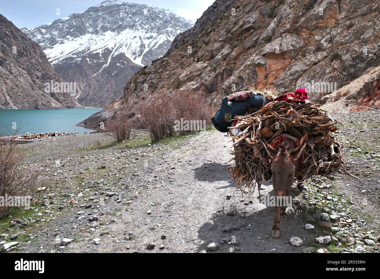Uzbek border hi-res stock photography and images - Alamy