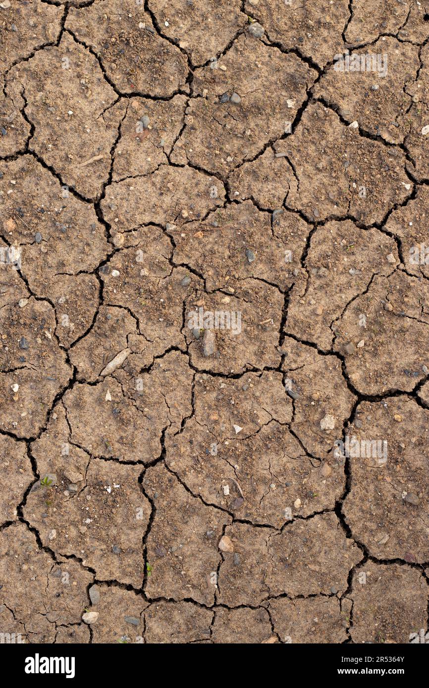 Closeup macro background texture of dry cracked ground dirt in hot ...