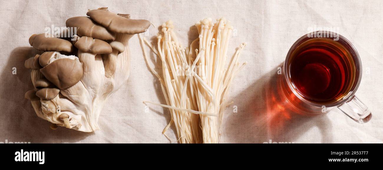 Natural medicine, reduce stress and improve immunity concept. Mushroom ...