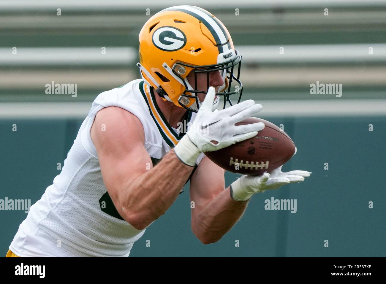 Green Bay Packers' Luke Musgrave catches a pass during an NFL football ...