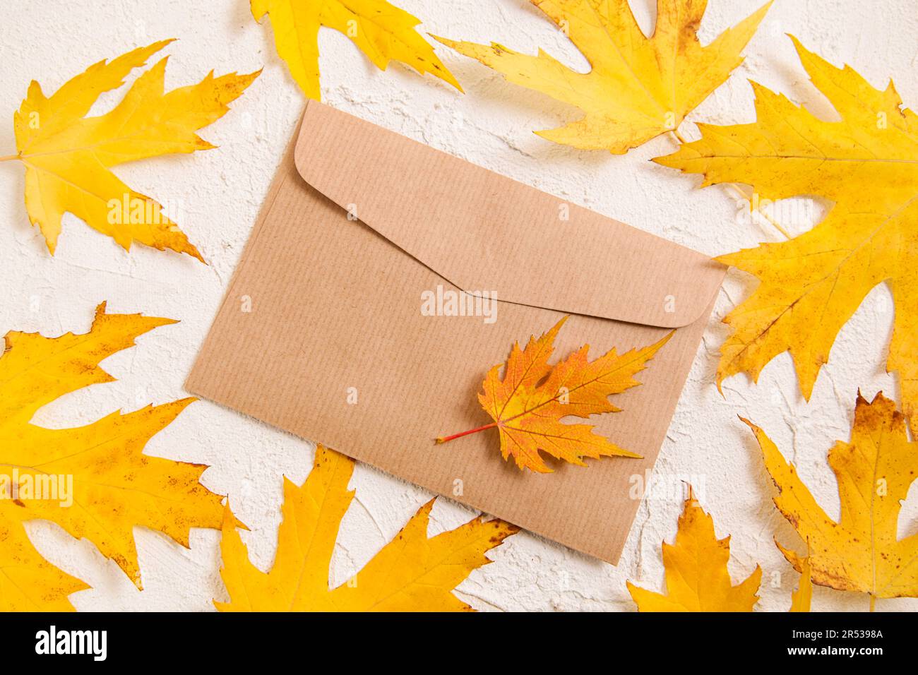 Empty brown craft envelope, autumn leaves on white background. Copy ...