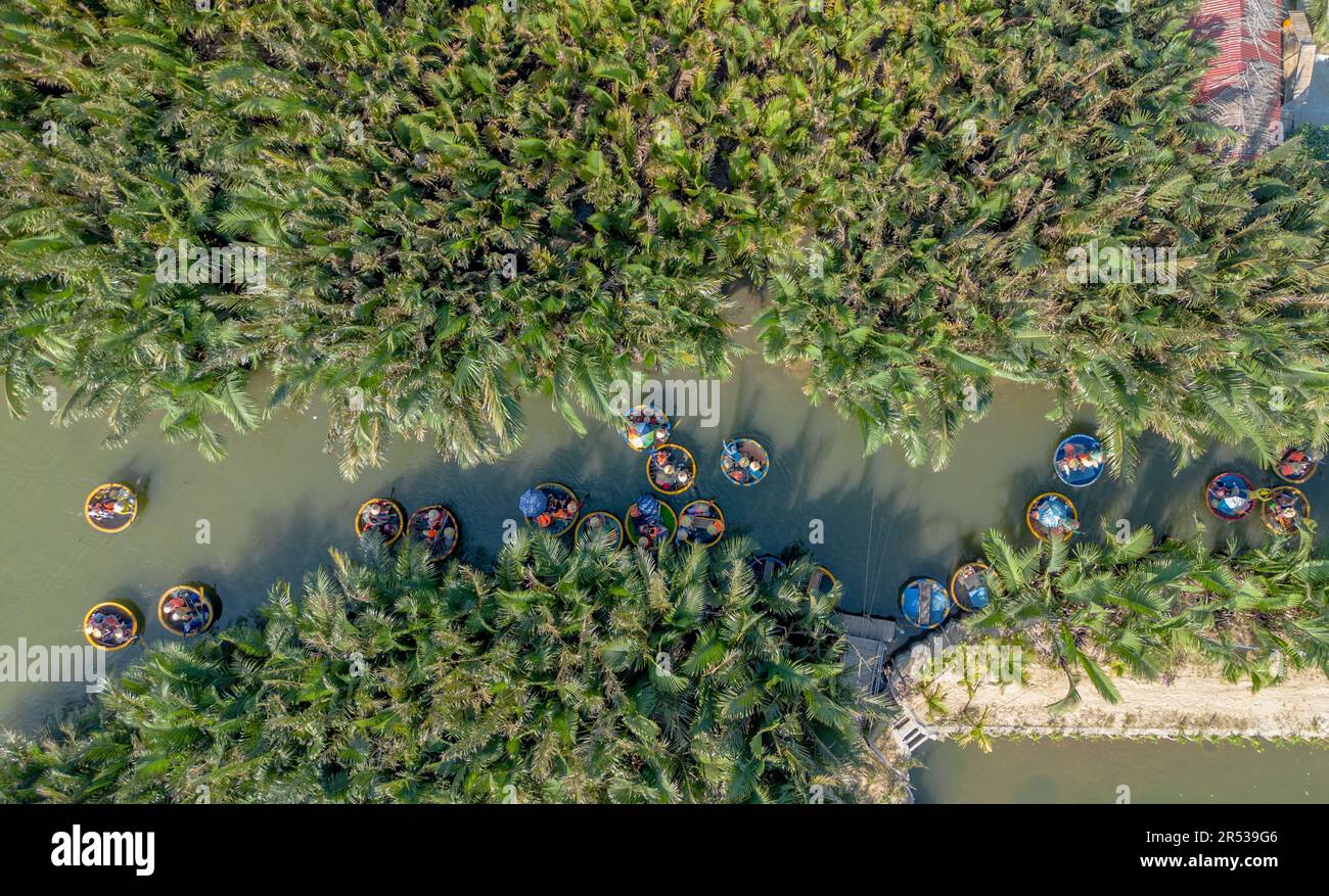 Bay mau coconut forest hi-res stock photography and images - Alamy