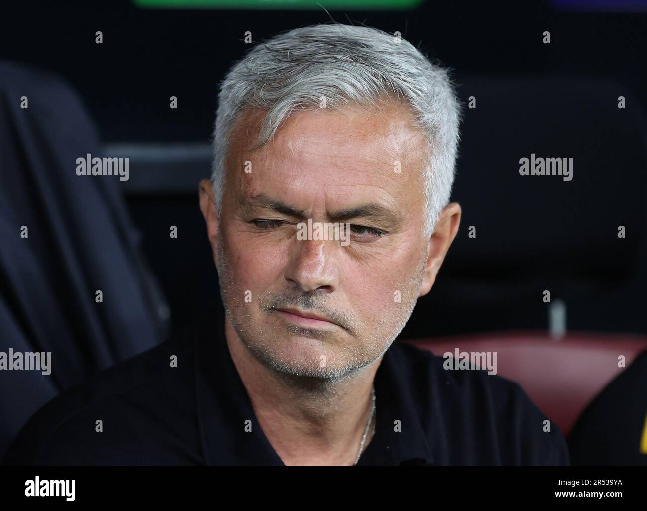 David wink hi-res stock photography and images - Alamy