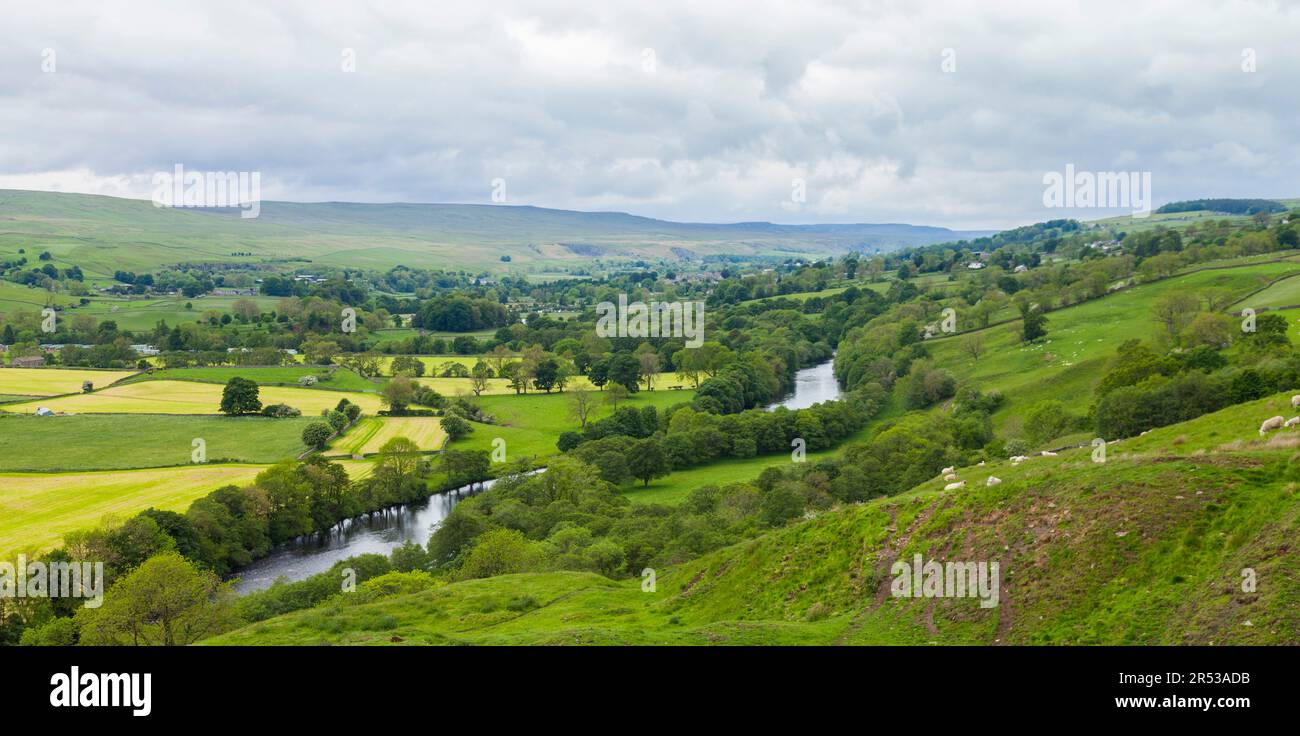 Sheep in the north pennines hi-res stock photography and images - Alamy