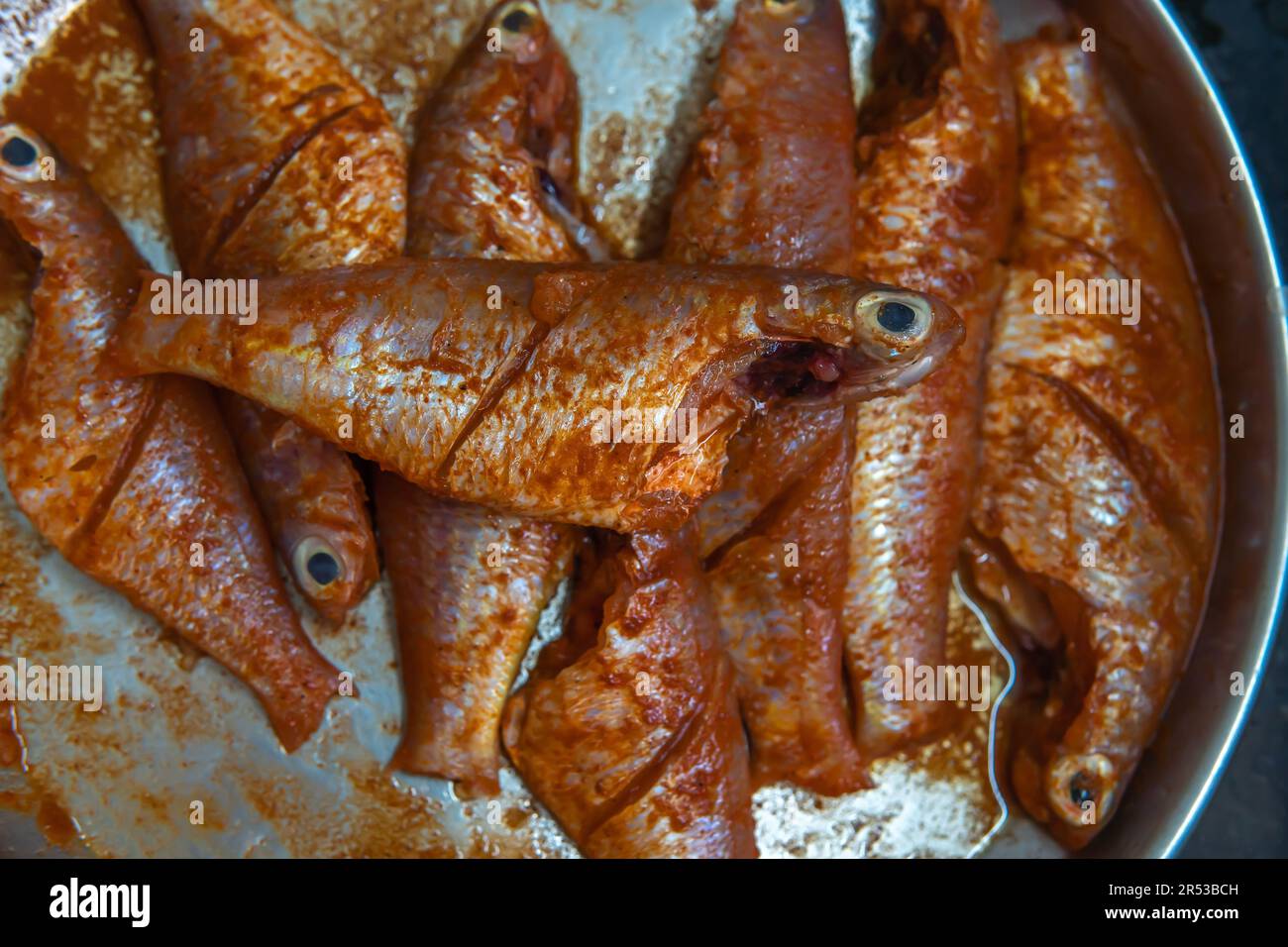 Freshly marinated raw red snapper fish on plates is vibrant hue from ...