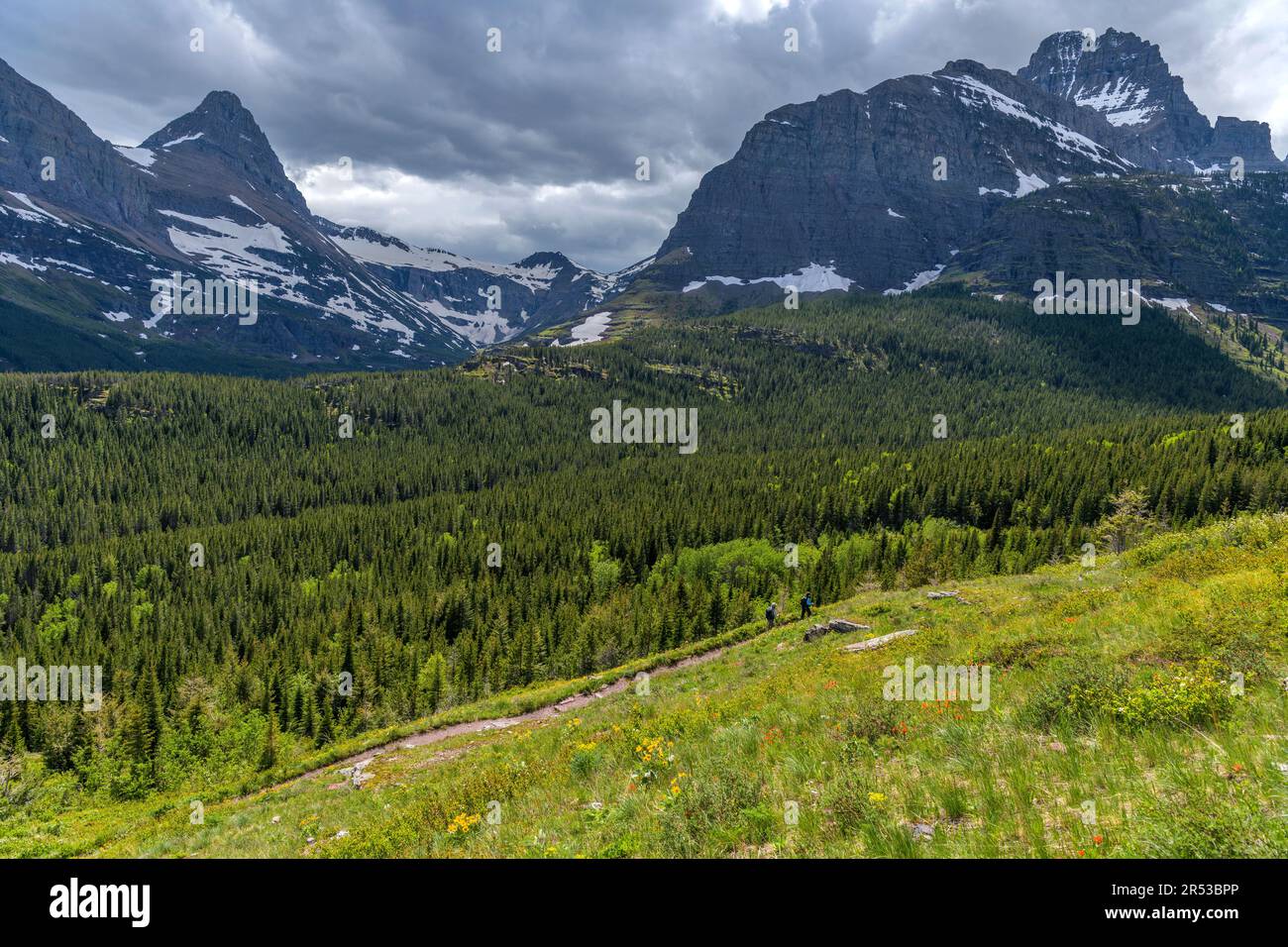 Spring Trail - A wide-angle Spring view of Iceberg Ptarmigan Trail ...