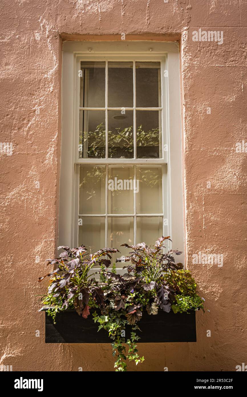 Close up of the color windows of a colonial era home in Charleston ...