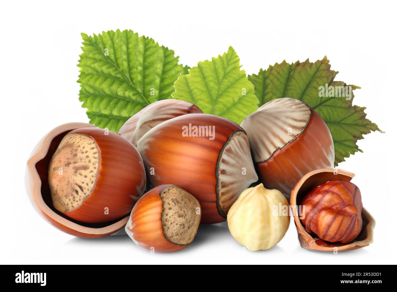 Hazelnuts-filberts in shell, whole with leaves isolated on white ...