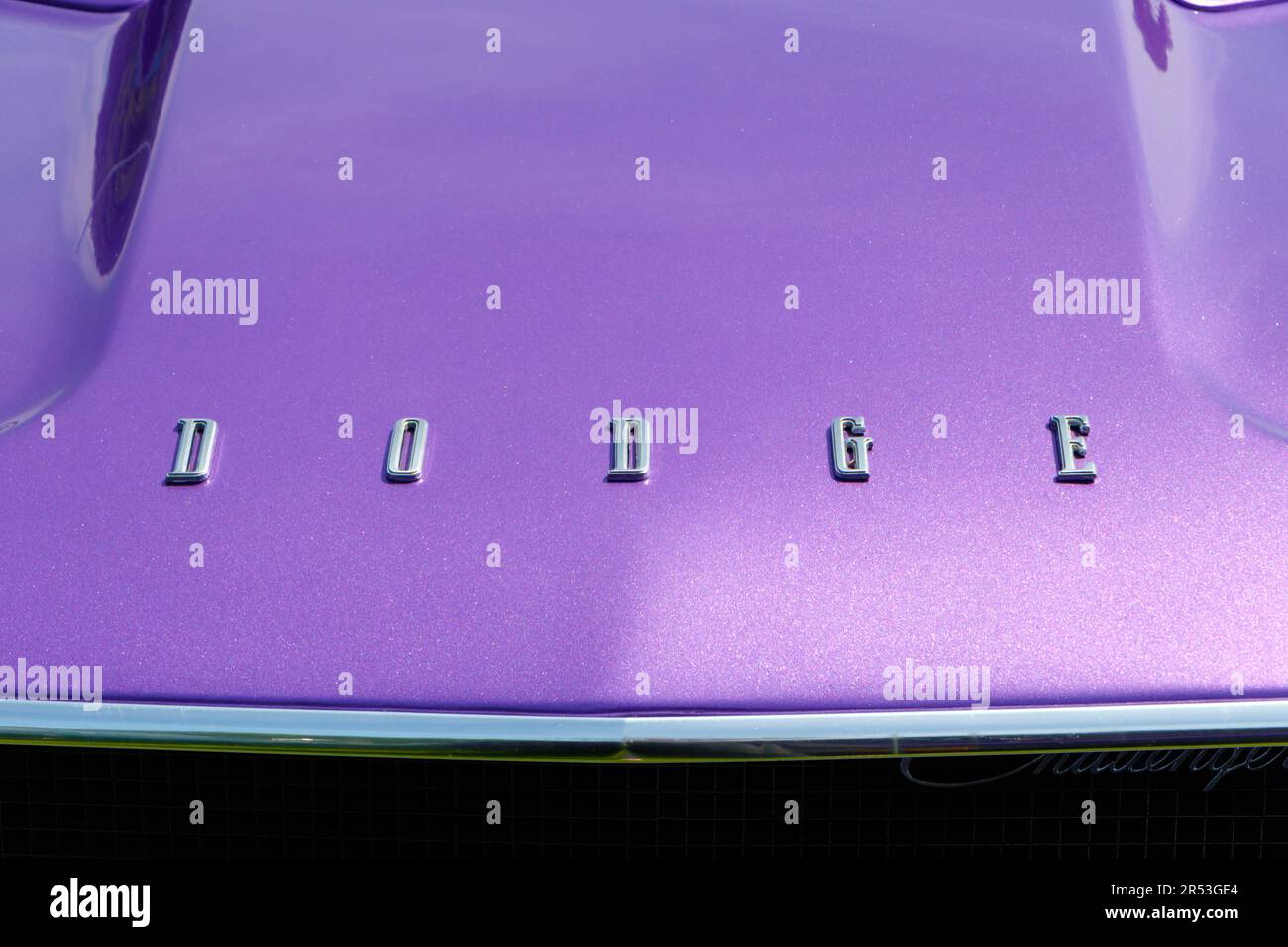 closeup of chrome bonnet badge hood lettering on purple 1970s dodge ...