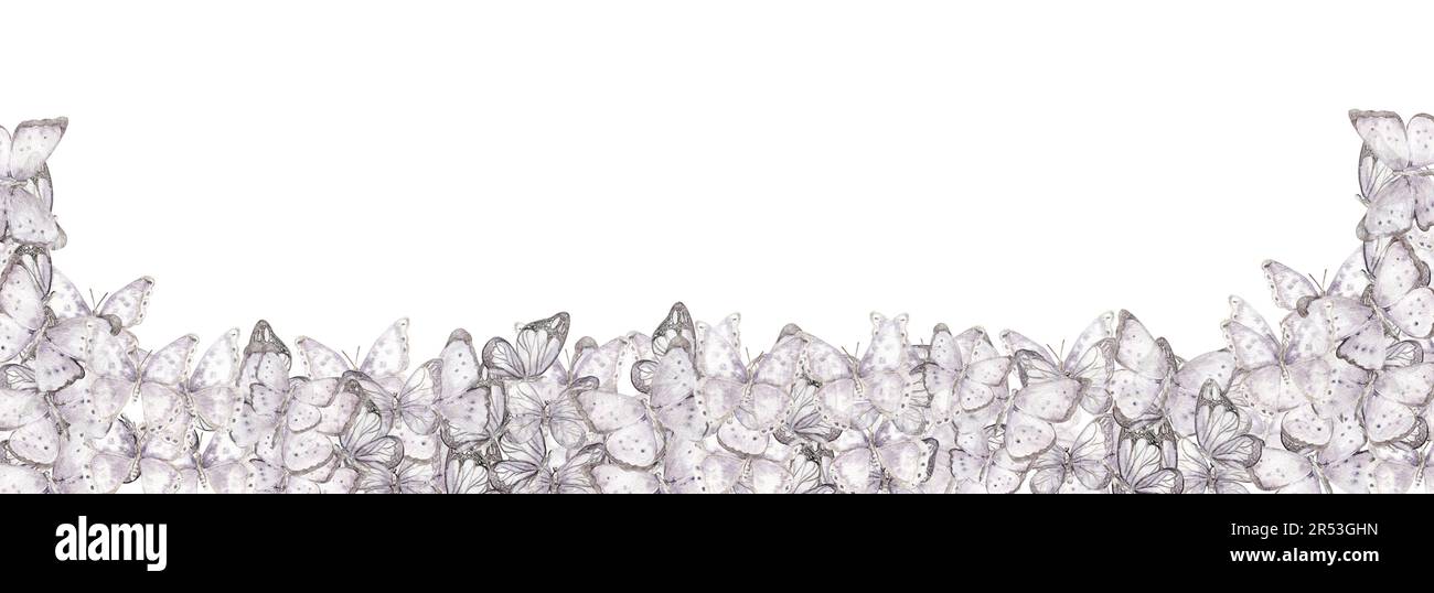 Delicate lilac butterflies. Horizontal board, watercolor illustration ...