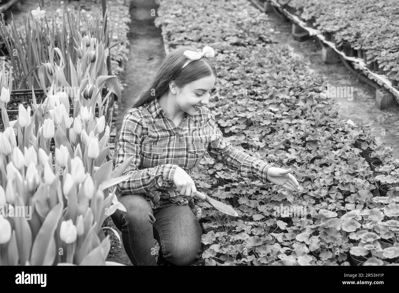happy teen girl florist planting pot plants in greenhouse, gardening ...