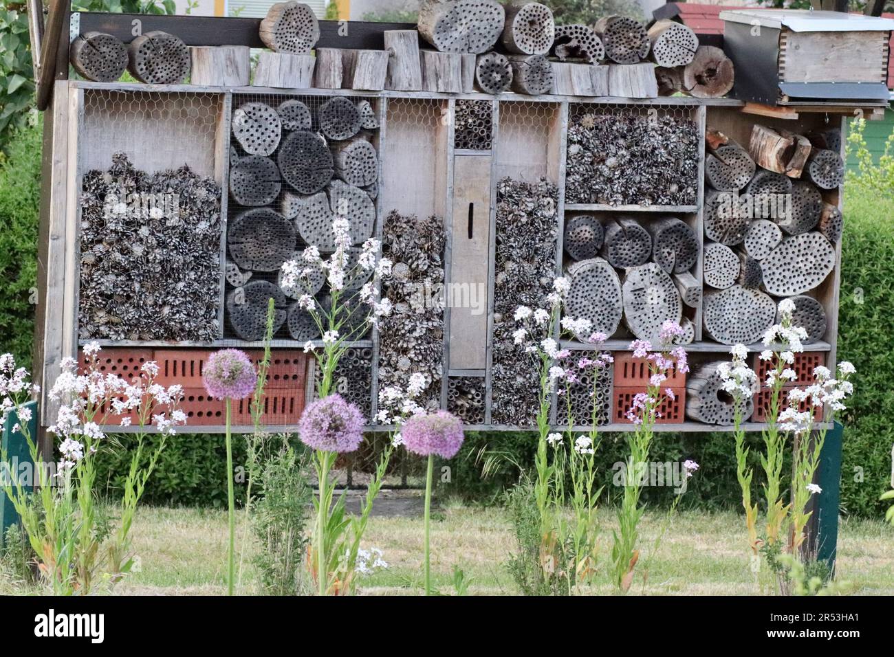 Large insect house hi-res stock photography and images - Alamy