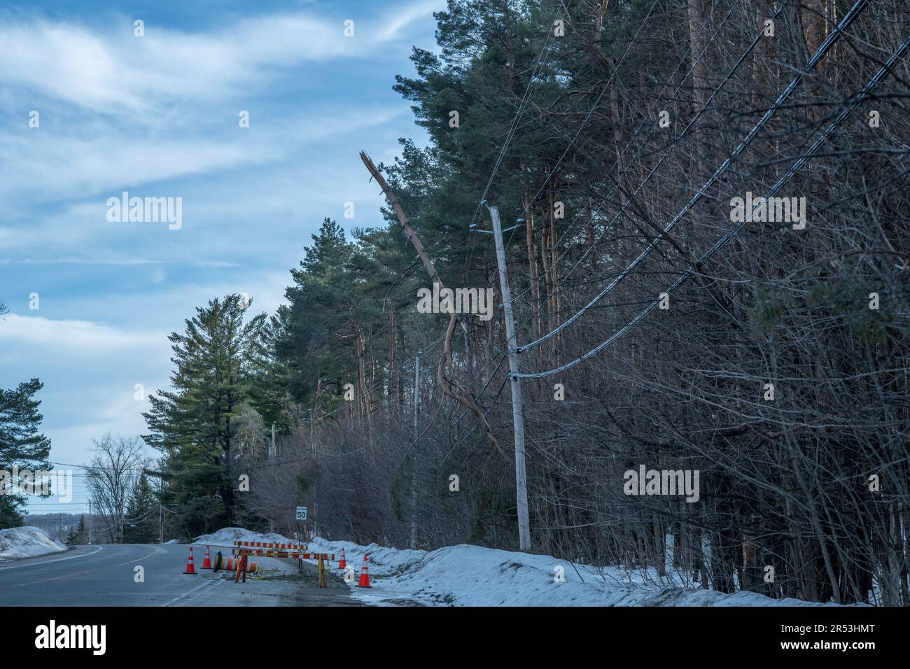 Broken tree branch hanging on high voltage power line during ice storm ...