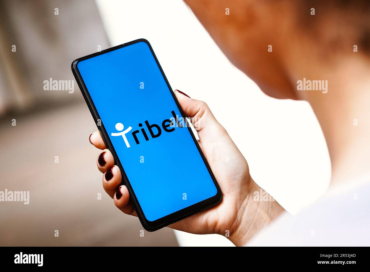 Brazil. 31st May, 2023. In this photo illustration, the Tribel Social ...