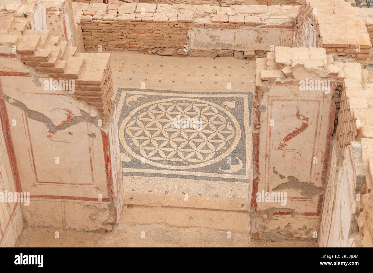 A picture of the art floor of the Terrace Houses at the Ephesus Ancient ...