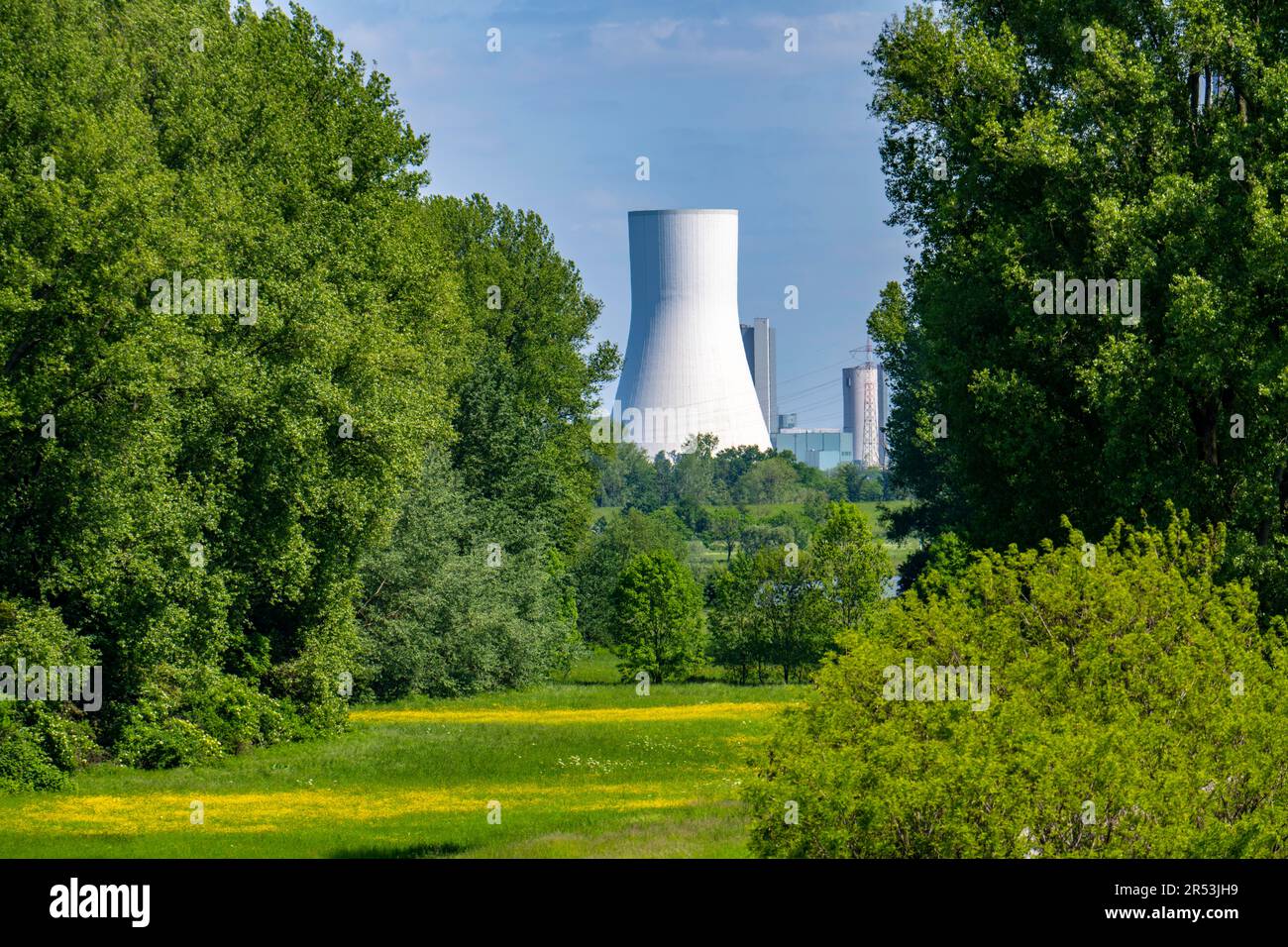 Rhine meadows near Duisburg-Beeckerwerth, view of the STEAG power plant ...
