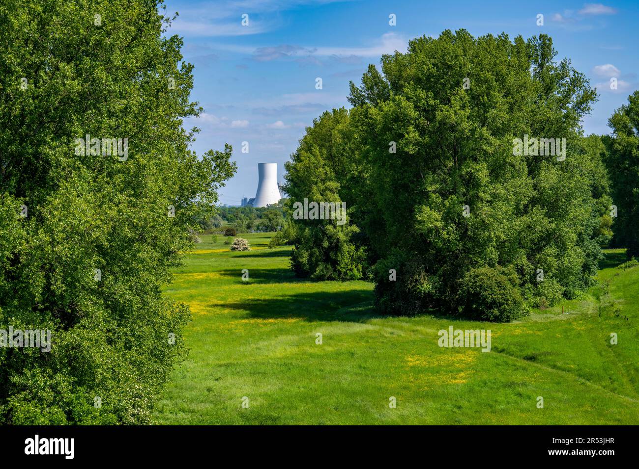 Rhine meadows near Duisburg-Beeckerwerth, view of the STEAG power plant ...