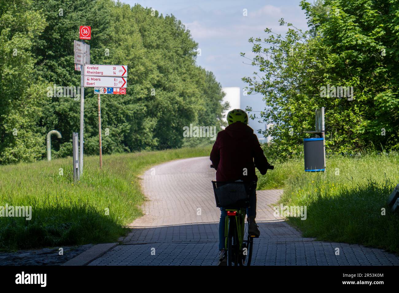 Rhine meadows near Duisburg-Beeckerwerth, footpath, cycle path on the ...
