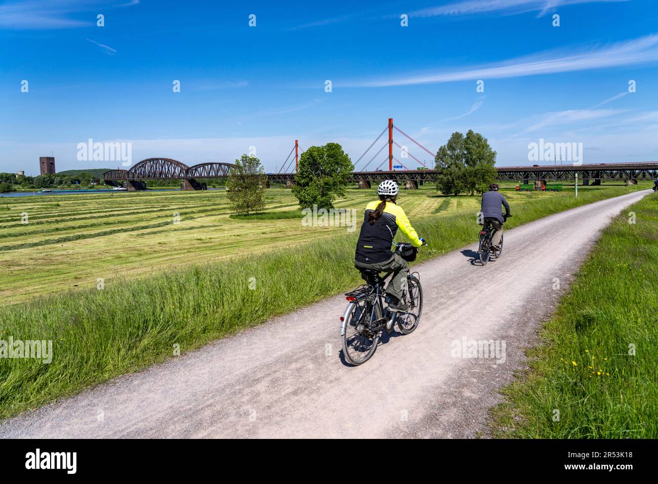 Rhine meadows near Duisburg-Beeckerwerth, footpath, cycle path on the ...