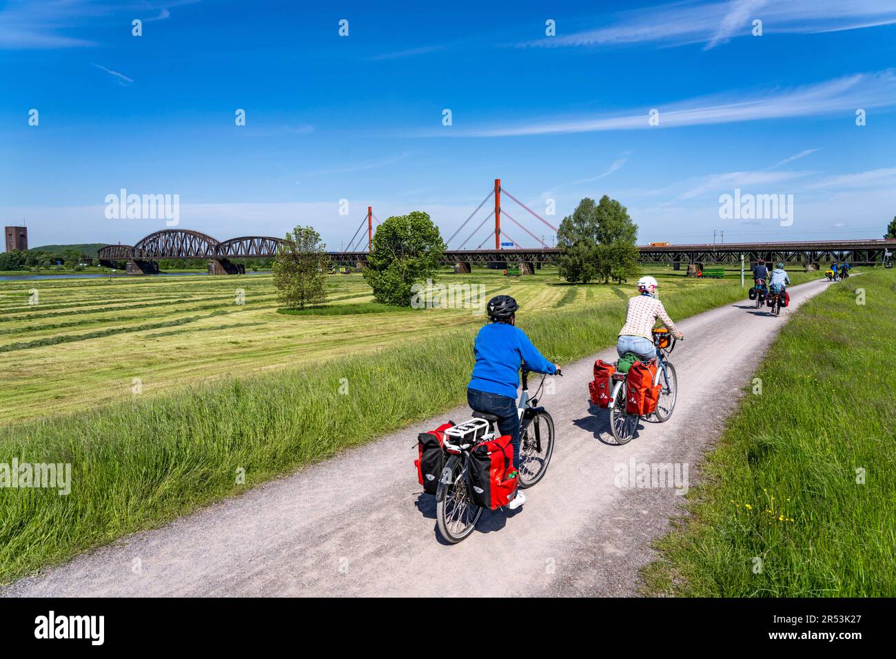 Rhine meadows near Duisburg-Beeckerwerth, footpath, cycle path on the ...