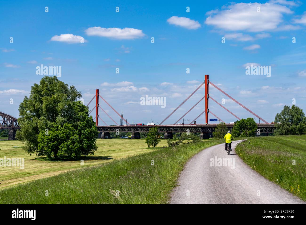 Rhine meadows near Duisburg-Beeckerwerth, footpath, cycle path on the ...