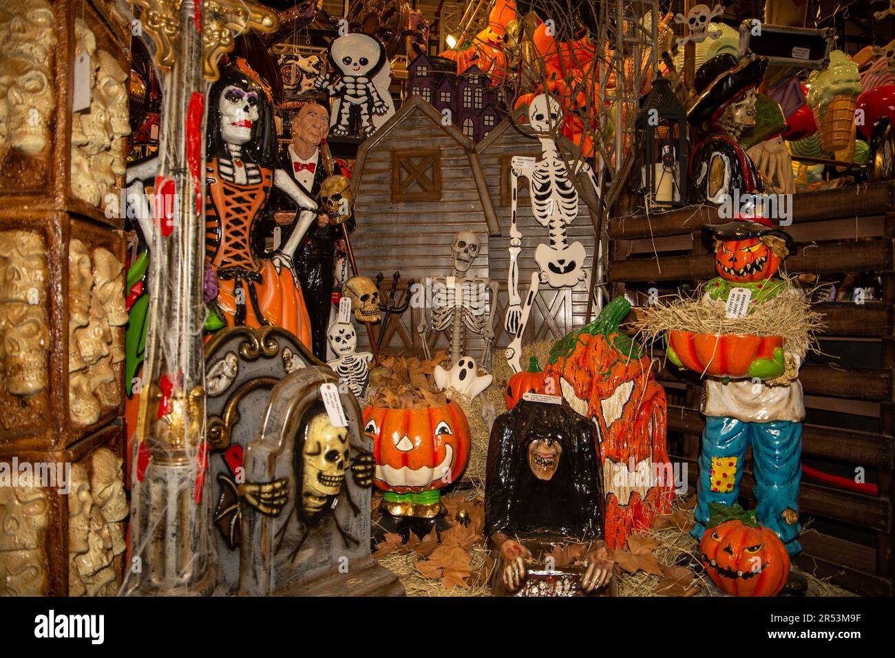 Sao Paulo, Sao Paulo, Brazil. 31st May, 2023. The Celebra Show is an unmissable event for ...