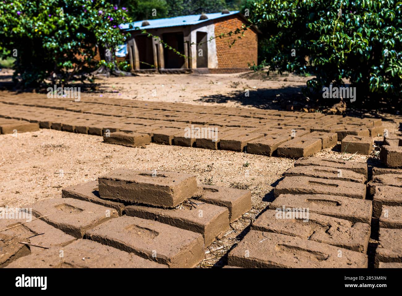 In many villages in Malawi, the bricks for the houses are formed from ...