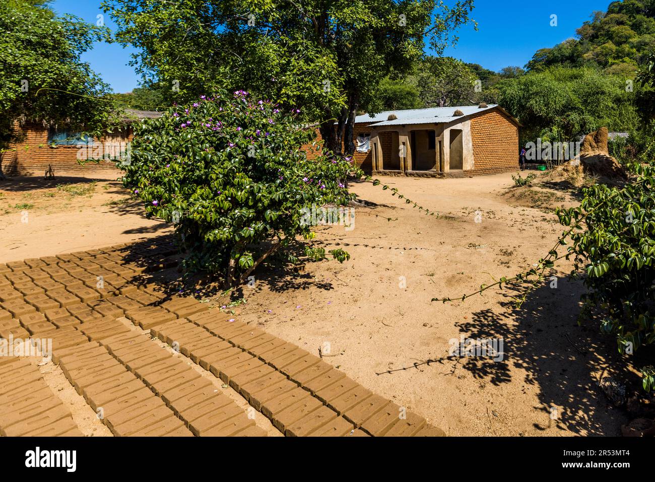 In many villages in Malawi, the bricks for the houses are formed from ...