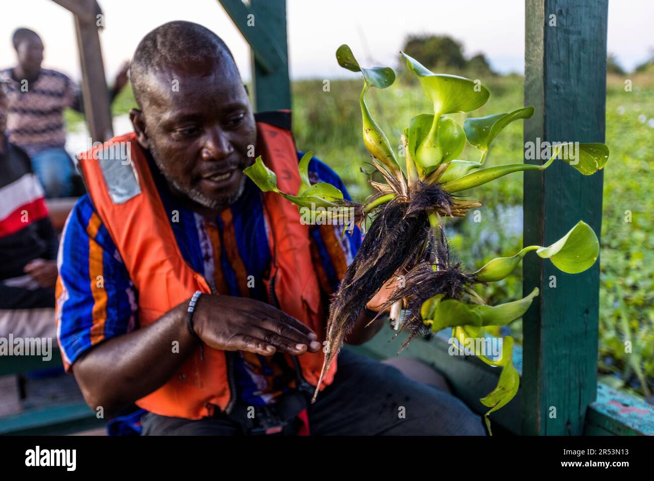 Guided boat tour across the Shire River. The guide explains the plants ...