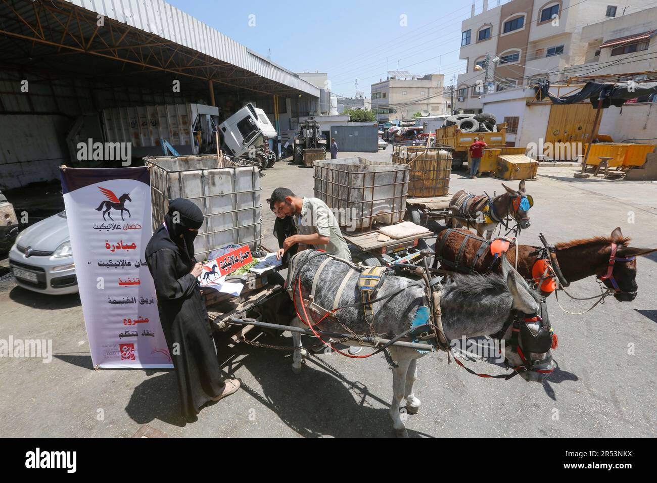 Palestinian activists put diapers for a donkey as they conduct the ...