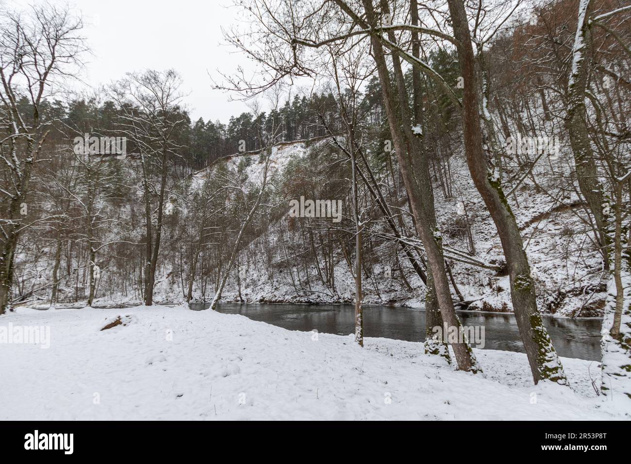 Forest in winter by the river. Cliff in the background.Snow and cloudy ...