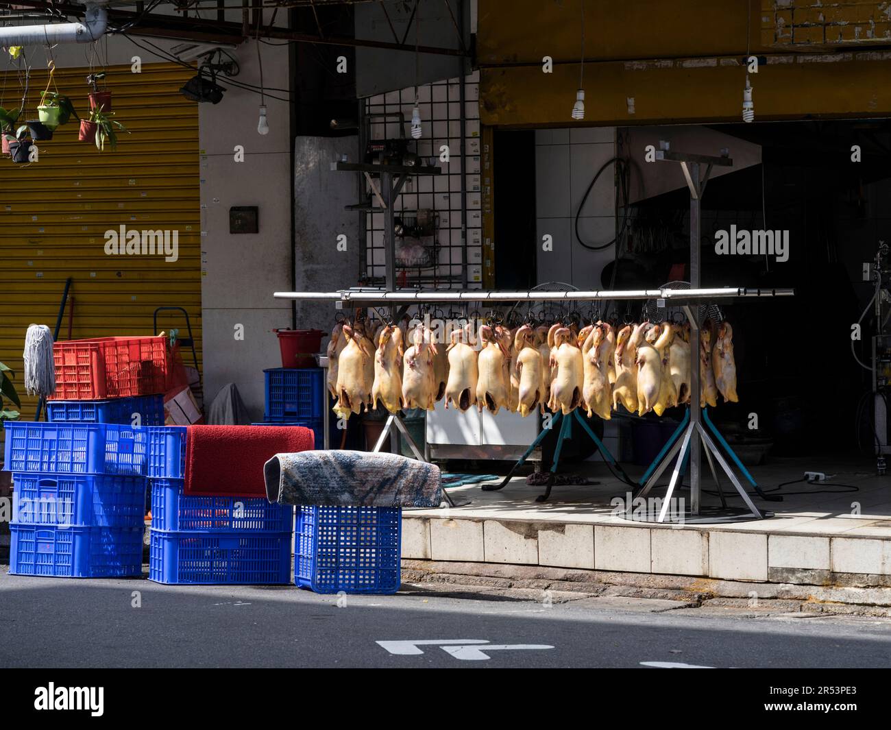 Ducks at a butcher shop in Taipei, Taiwan Stock Photo - Alamy