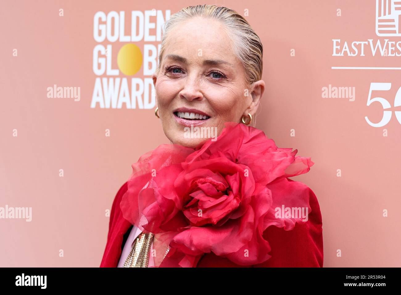 American actress sharon stone hi-res stock photography and images - Alamy