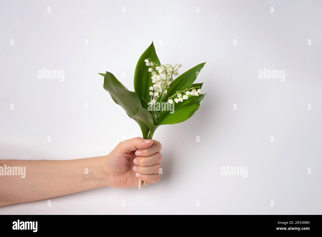 may flowers. bouquet of lily of the valley Stock Photo - Alamy