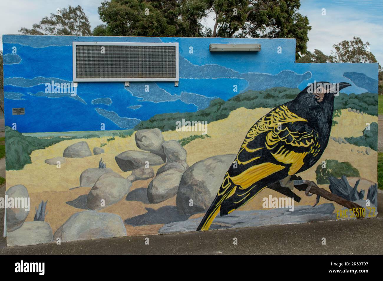 Regent Honeyeater Street Art by Eric Sesto, Tooborac, Victoria ...